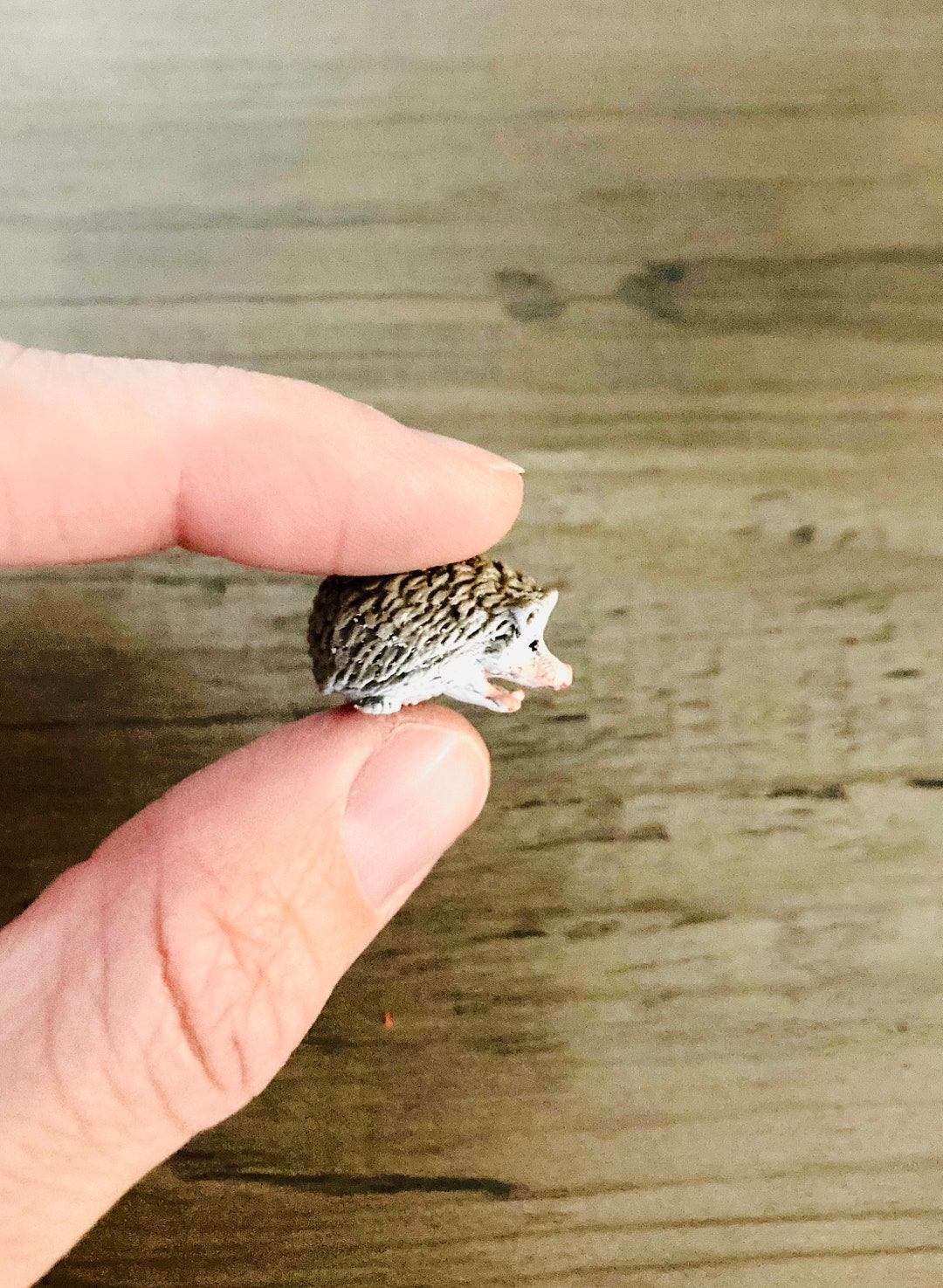 Miniature Hedgehog / Micro Mini Nature Animal Hedge Hog Rat Mouse ...