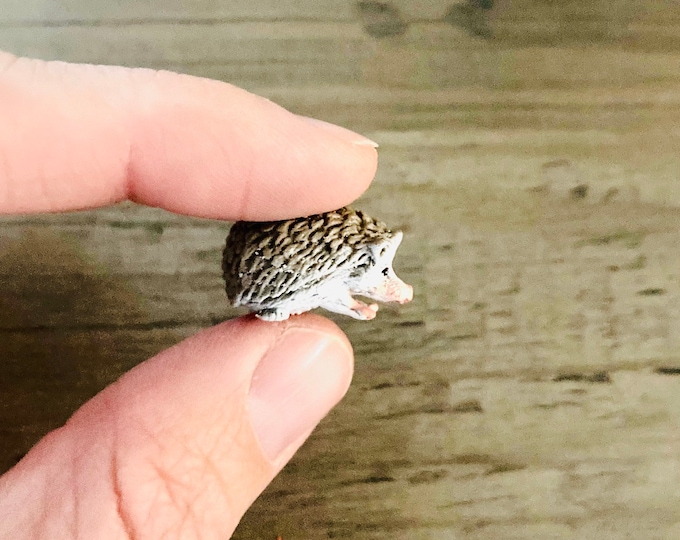 Little Reading Hedgehog, Mini Hedgehog, Miniature Hedgehog, Fairy ...