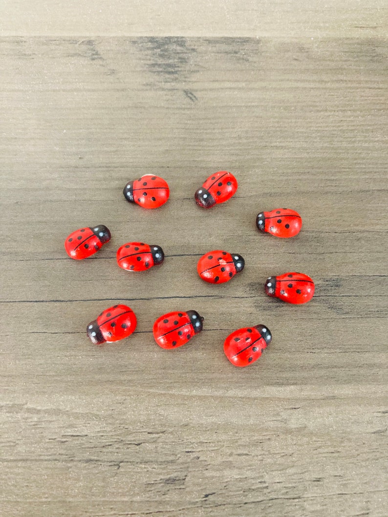 10pc Micro Miniature Ladybugs / Tiny Mini Red Bugs - Etsy