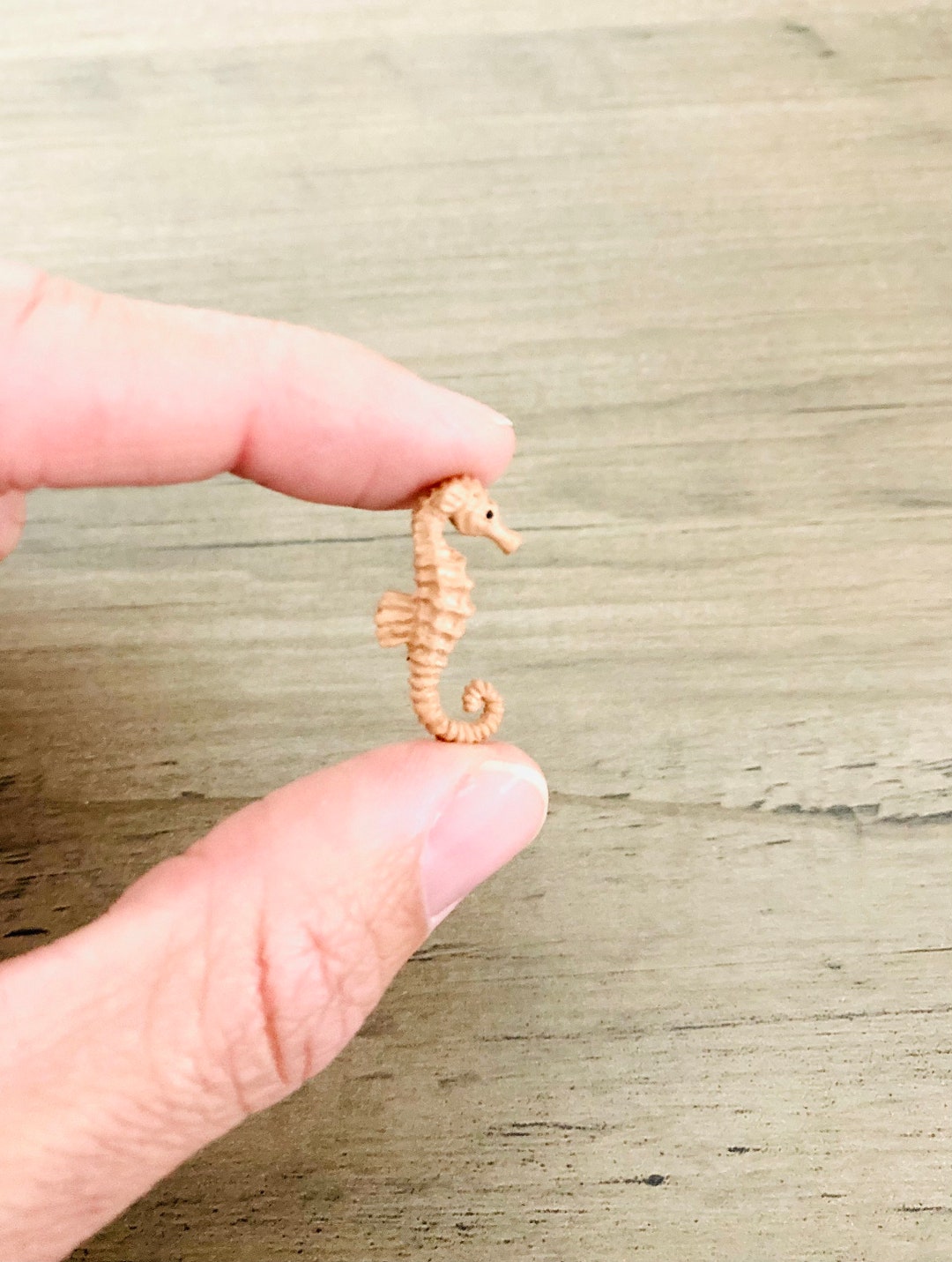 Miniature Seahorse / Sea Creature Ocean Coral Reef Moray Mini Sea Life ...