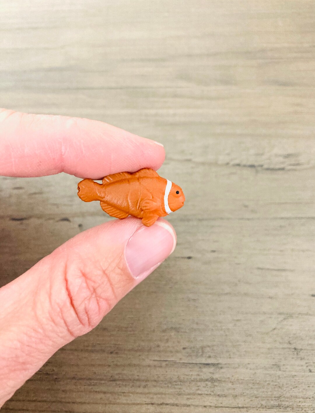 Miniature Clown Fish / Mini Ocean Creature Coral Reef Terrarium Fairy ...