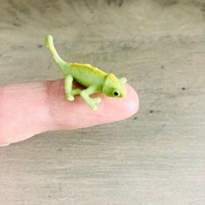 Miniature Chameleon / Micro Mini Green Lizard Crafting Gift Desert ...
