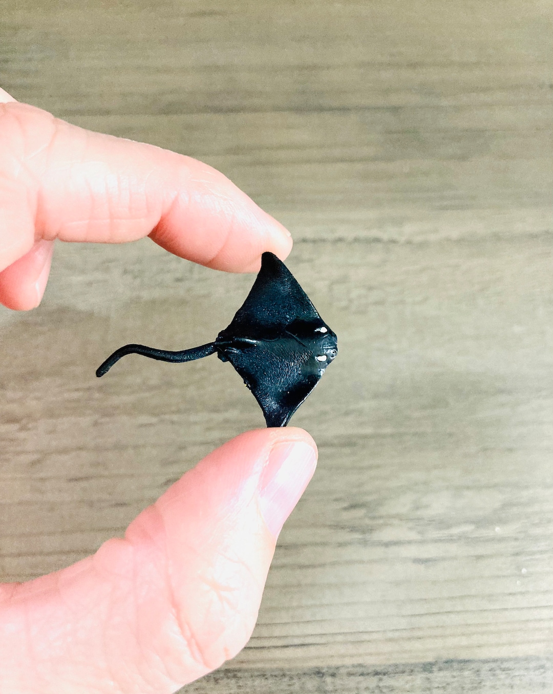 Miniature Ocean Ray Fish / Tiny Micro Mini Sea Creature Crafting ...