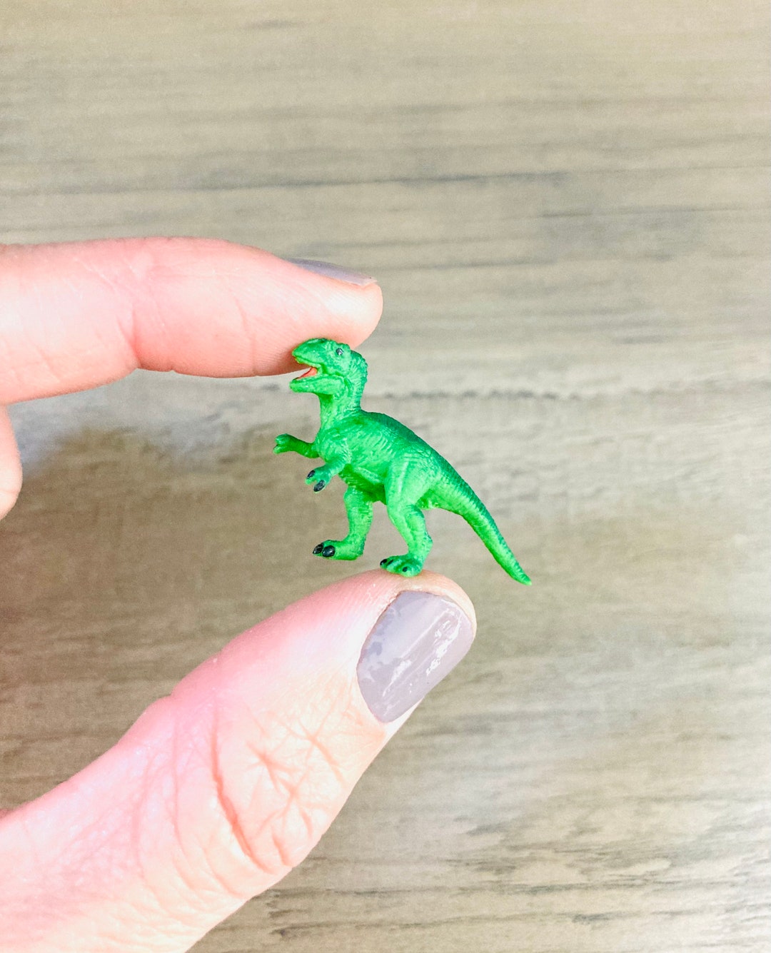 Miniature T-rex Dinosaur / Terrarium Diorama Crafting Prehistoric Micro ...