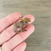 Miniature Mountain Moose / Micro Mini Forest Animal Crafting Diorama - Etsy