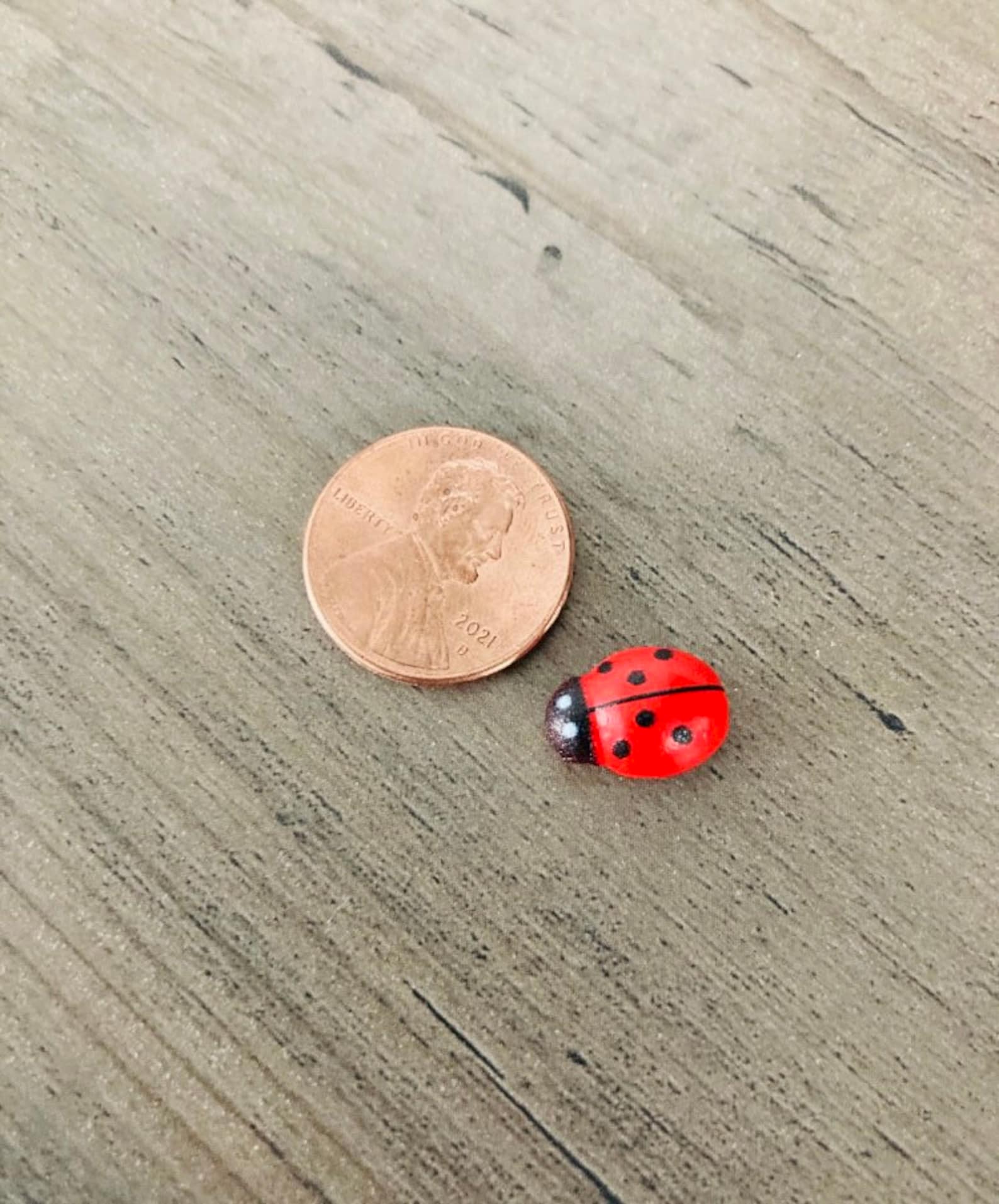 10pc Micro Miniature Ladybugs / Tiny Mini Red Bugs - Etsy