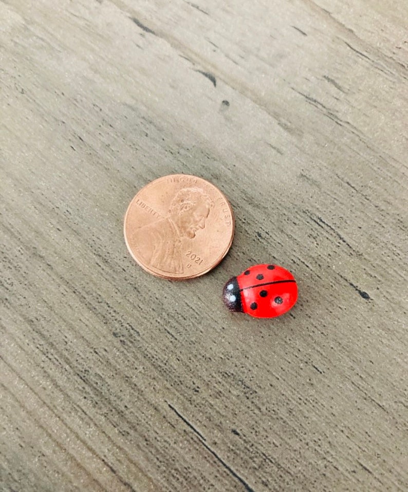 10pc Micro Miniature Ladybugs / Tiny Mini Red Bugs - Etsy