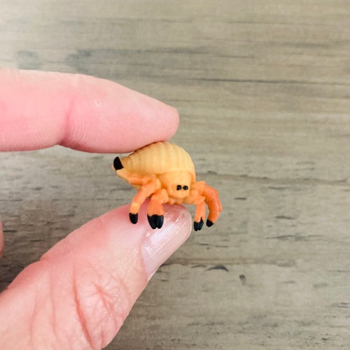 Miniature Hermit Crab / Micro Mini Crab Sea Creature Ocean - Etsy