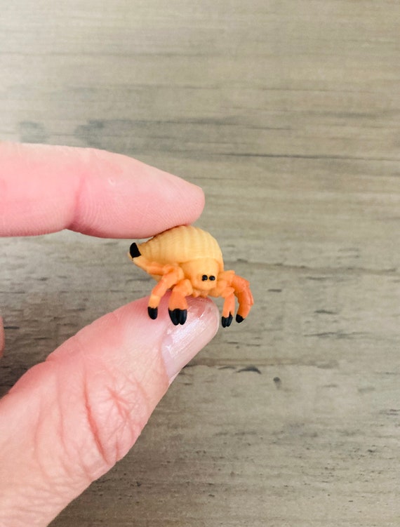 Miniature Hermit Crab / Micro Mini Crab Sea Creature Ocean - Etsy