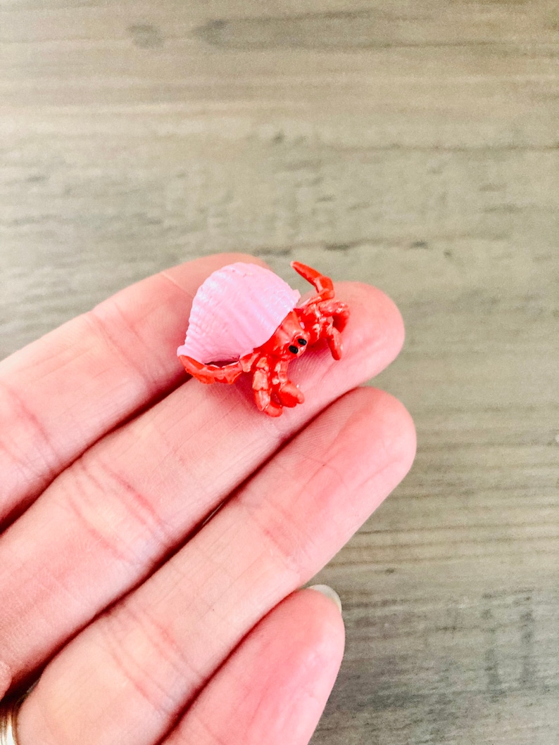 Miniature Hermit Crab / Micro Mini Crab Sea Creature Ocean - Etsy