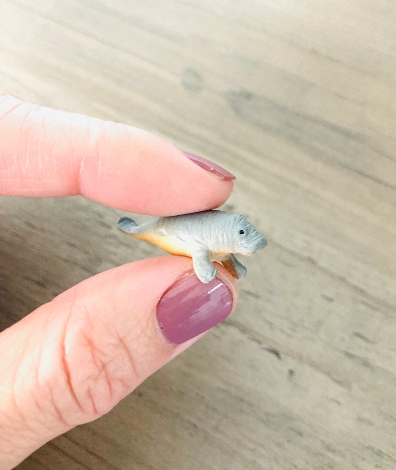Micro Mini Manatee / Sea Creatures Ocean Animal Florida - Etsy