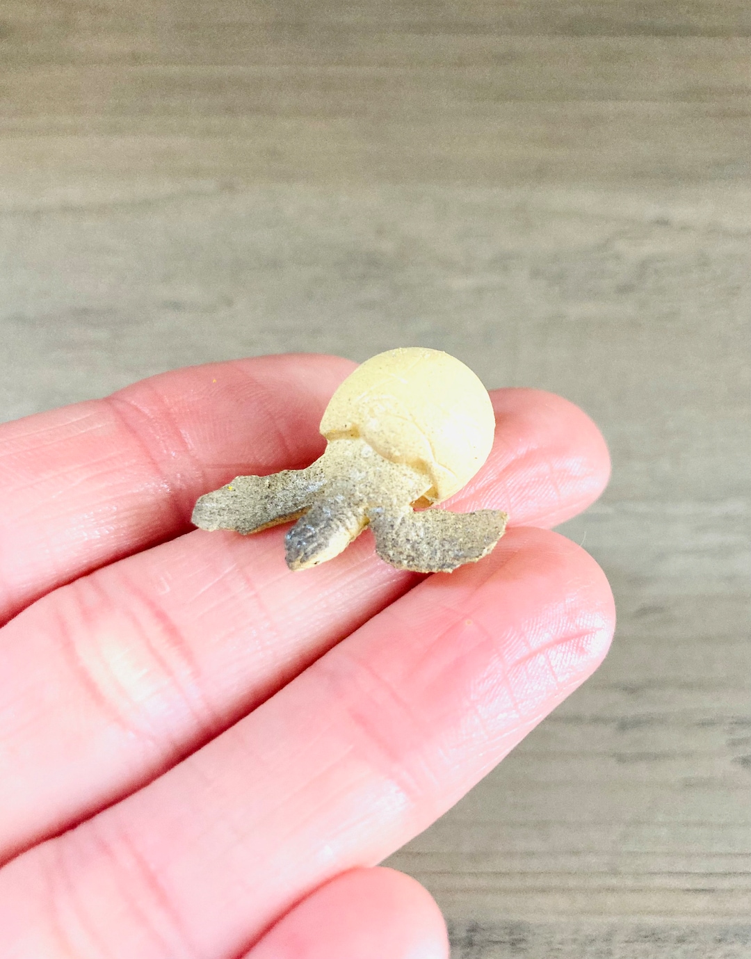 Miniature Hatching Baby Turtle / Micro Mini Turtle Terrarium Diorama ...