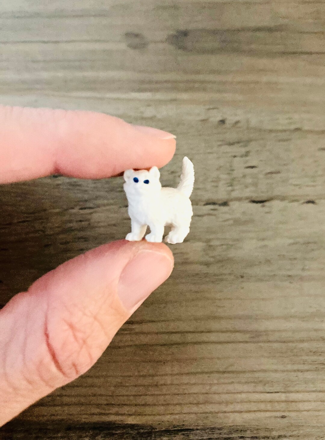 Miniature White Kitten / Micro Mini Cat Doll House Crafting Fairy ...