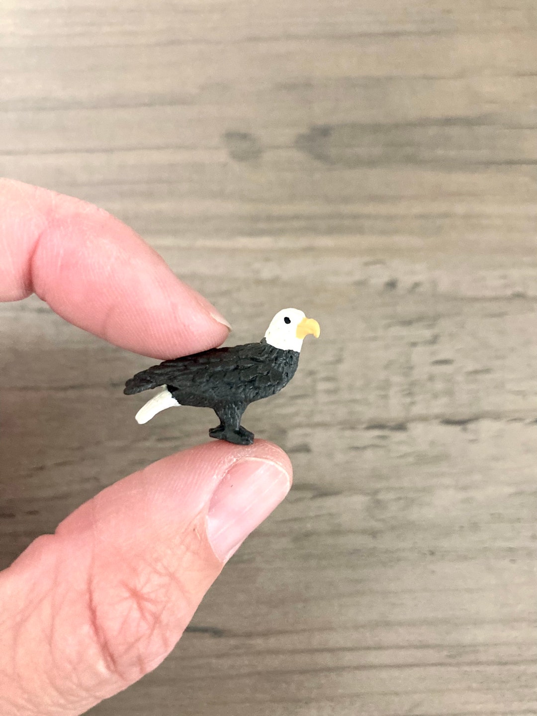 Miniature Bald Eagle / Micro Mini Patriotic American Bird of Prey ...