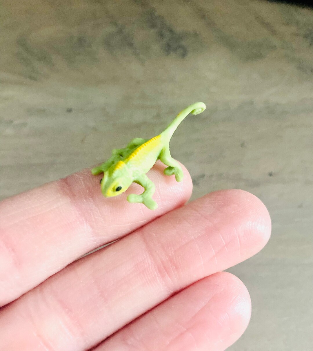 Miniature Chameleon / Micro Mini Green Lizard Crafting Gift Desert ...