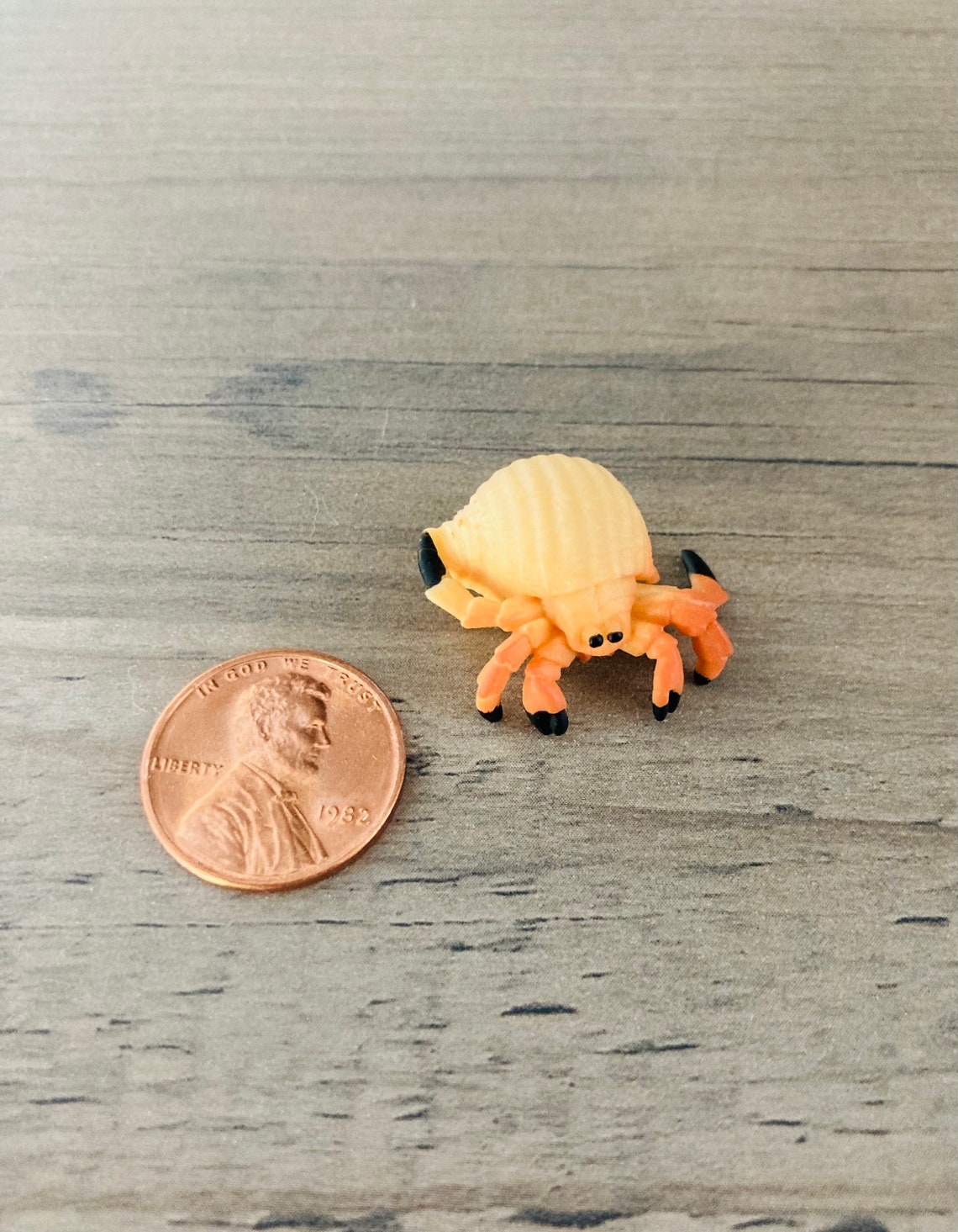 Miniature Hermit Crab / Micro Mini Crab Sea Creature Ocean - Etsy