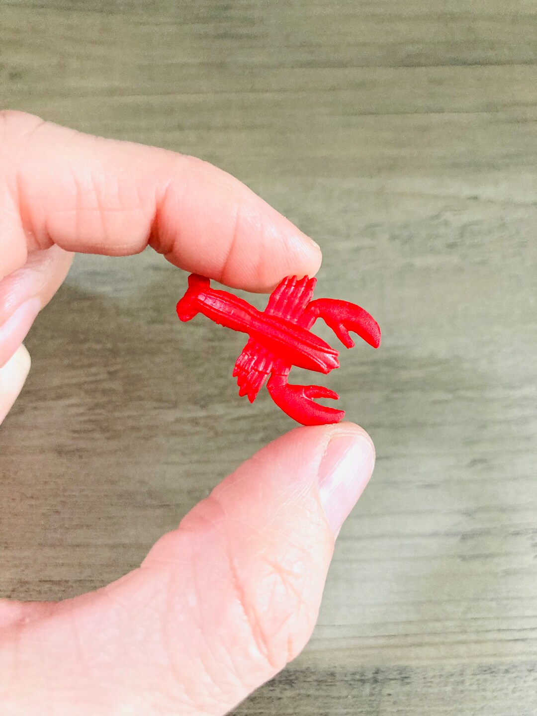 Miniature Red Lobster Sea Creature / Tiny Micro Mini Lobster Crustacean ...