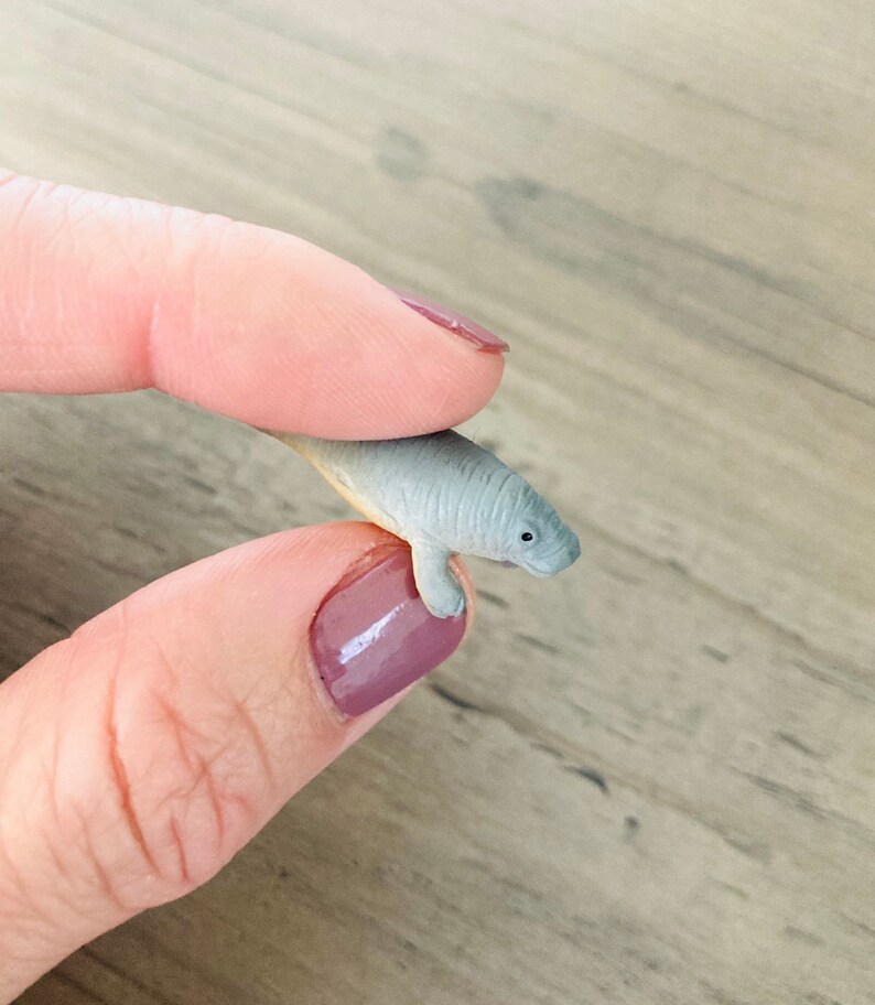 Micro Mini Manatee / Sea Creatures Ocean Animal Florida - Etsy