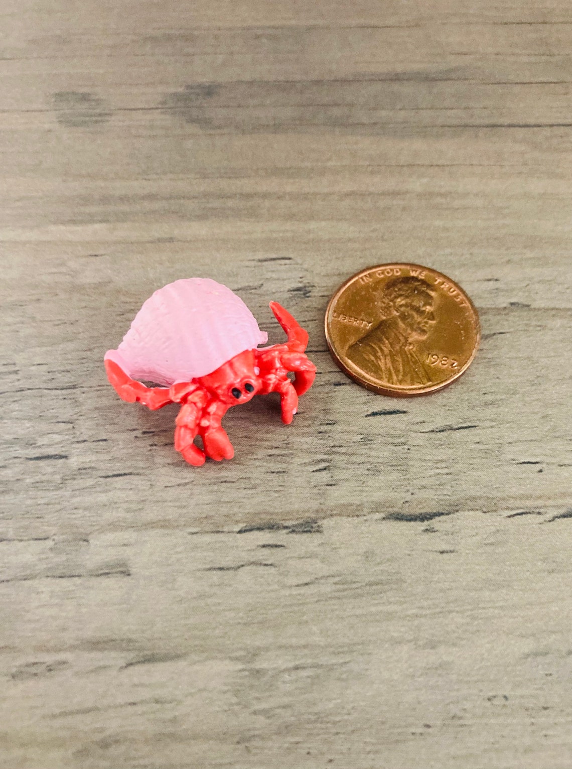 Miniature Hermit Crab / Micro Mini Crab Sea Creature Ocean - Etsy