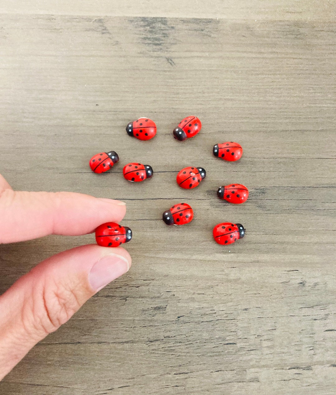 10pc Micro Miniature Ladybugs / Tiny Mini Red Bugs Crafting Art ...