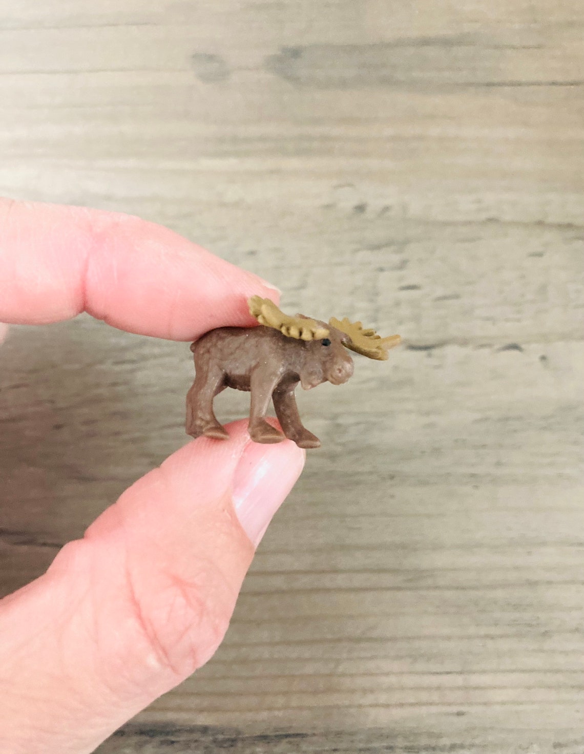 Miniature Mountain Moose / Micro Mini Forest Animal Crafting Diorama - Etsy