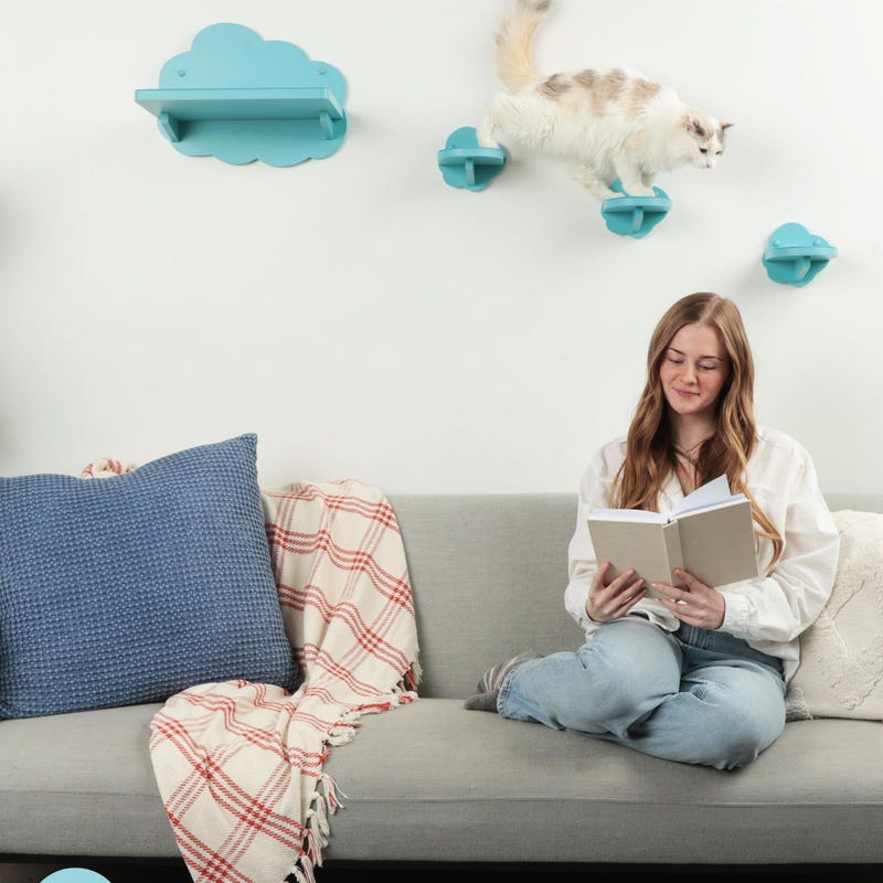 Wall Mounted Cat Shelves - Etsy