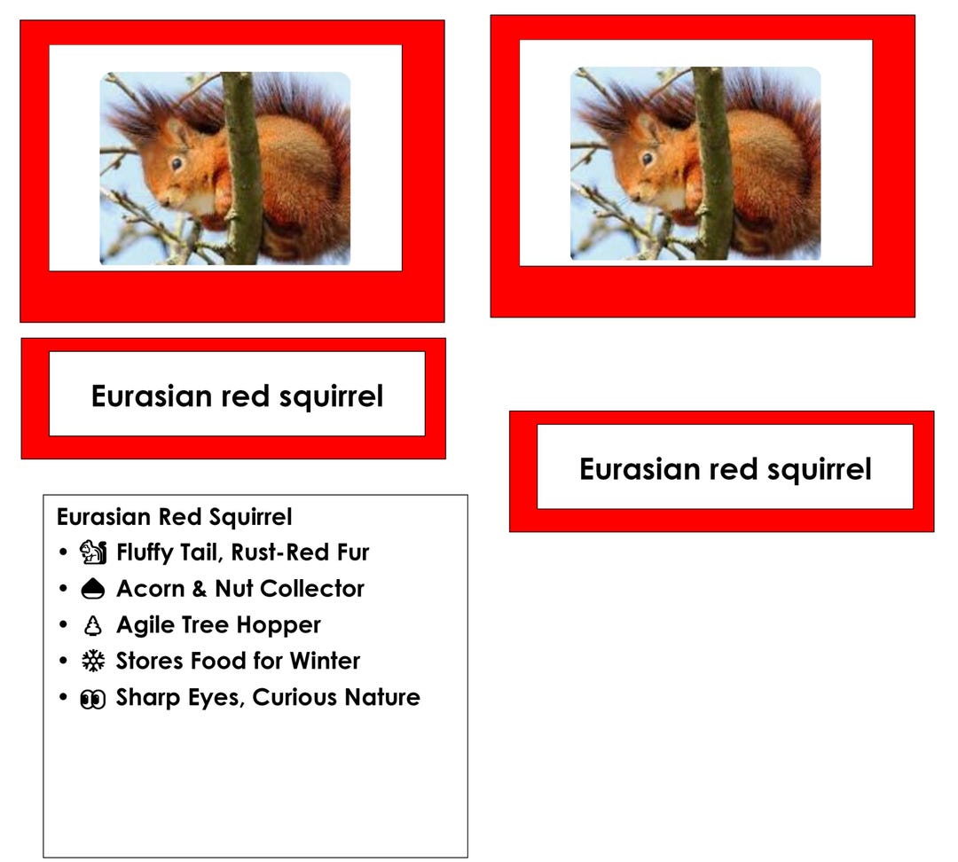 Europe Animal Montessori Cards: Preschool Geography (PDF) - Etsy