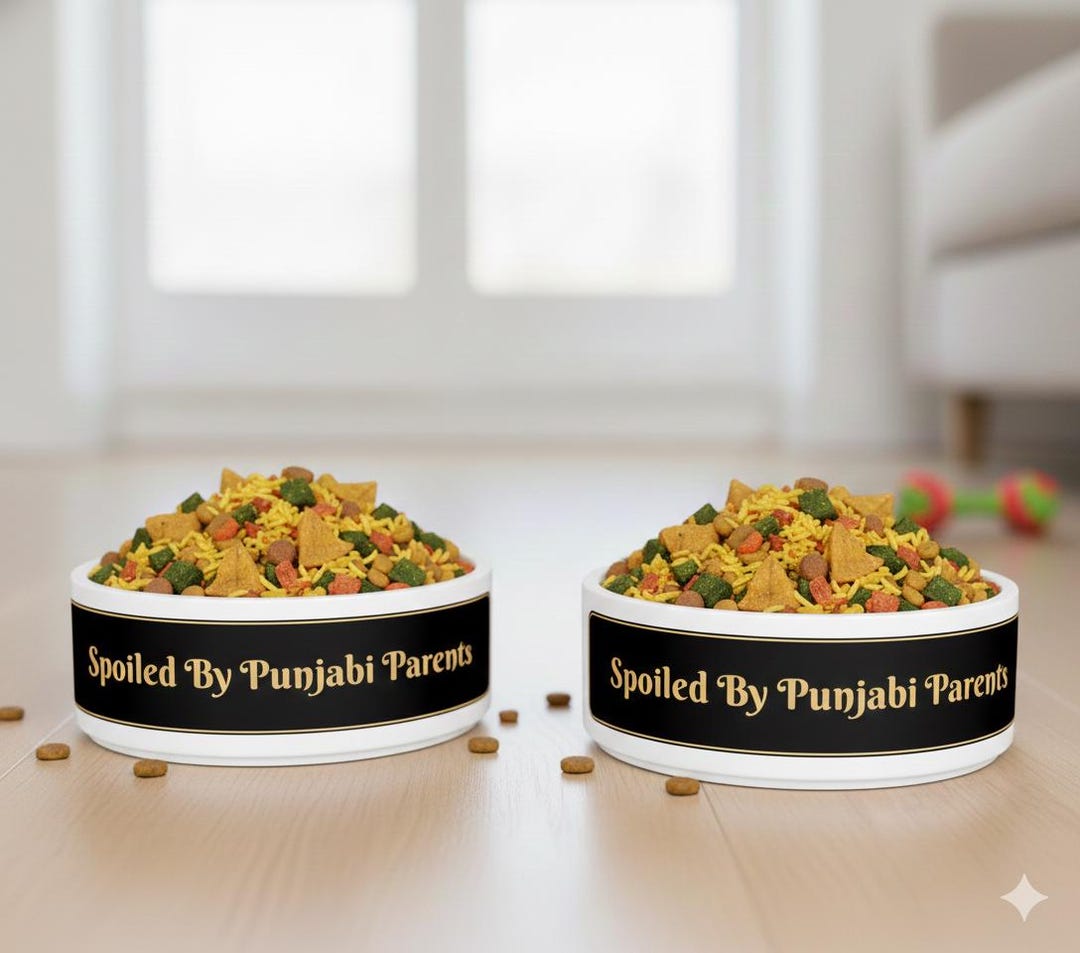 Spoiled by Punjabi Parents Pet Bowl | Punjabi Dog Bowl 16oz | Desi Pet ...