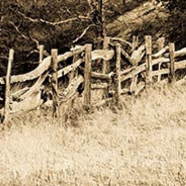 Split Rail - Etsy
