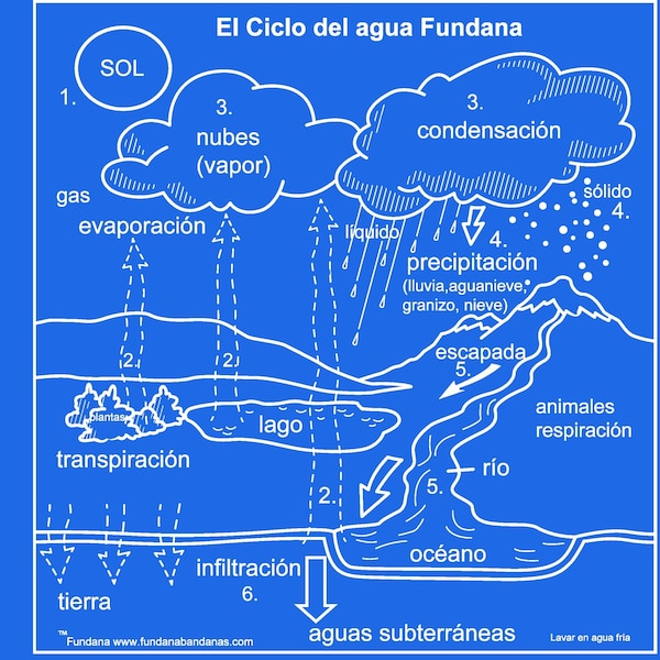 Water Cycle Project - Etsy