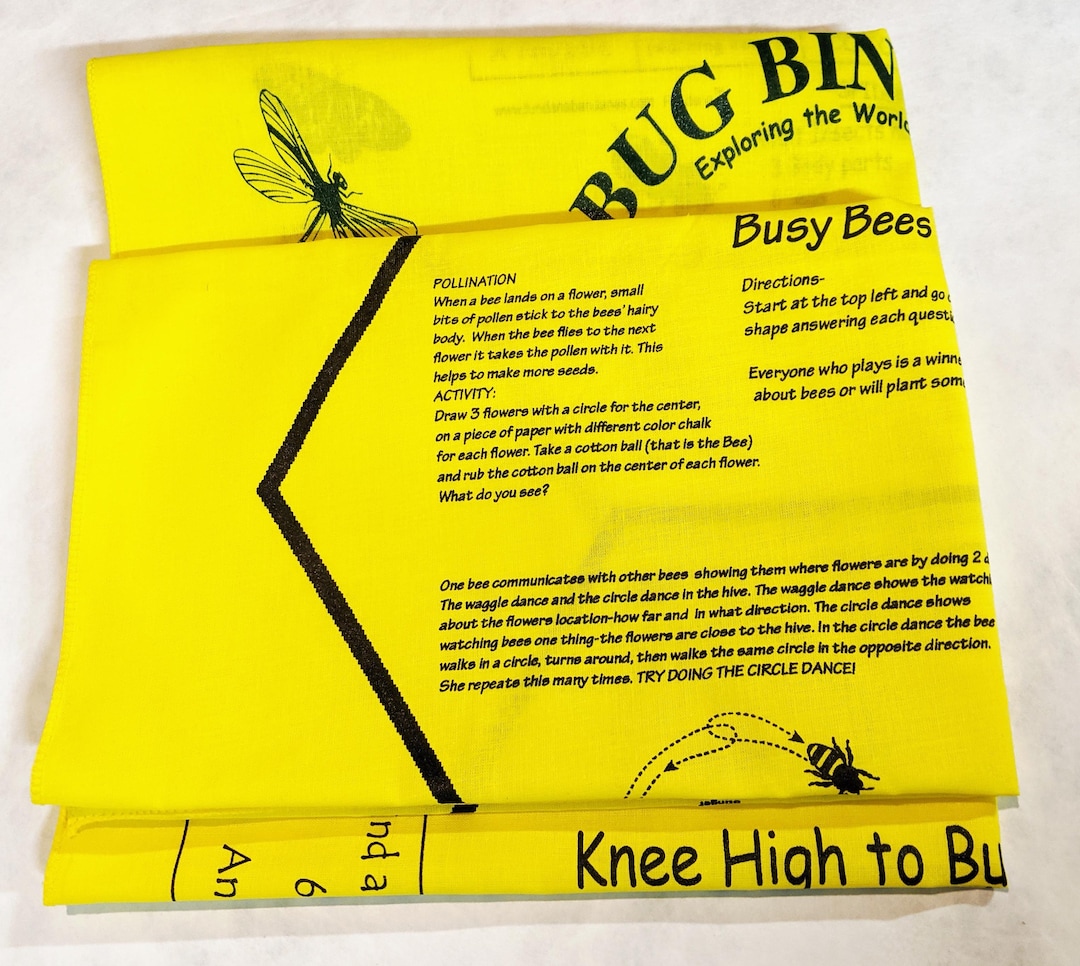 New! BUGS! Value Variety Packs 3 Fundanas! Bug Bingo, Busy Bees, Knee ...