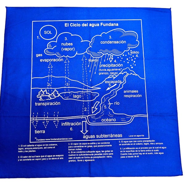 Water Cycle Project - Etsy