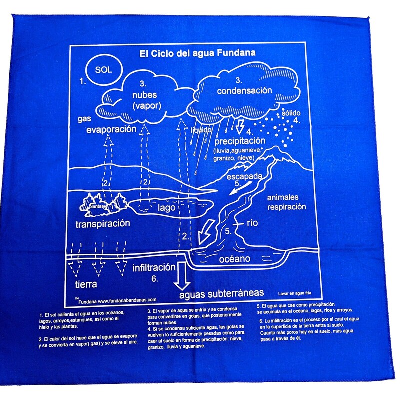 Water Cycle Project - Etsy