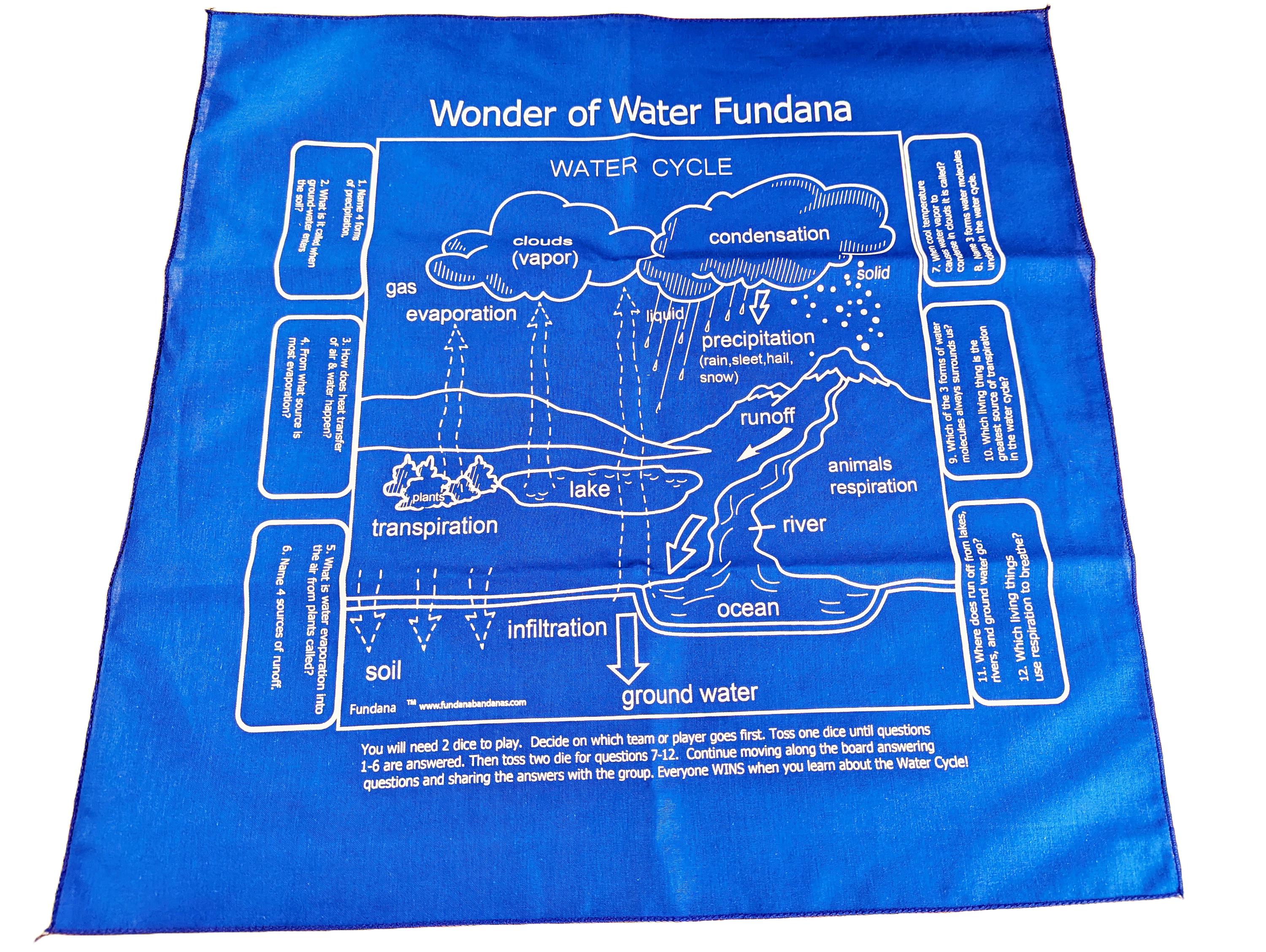 Water Cycle GAME! Wonder of Water is a fun way to learn about the water ...