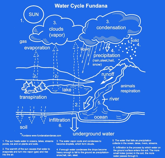 Water Cycle Flow Chart For Kids