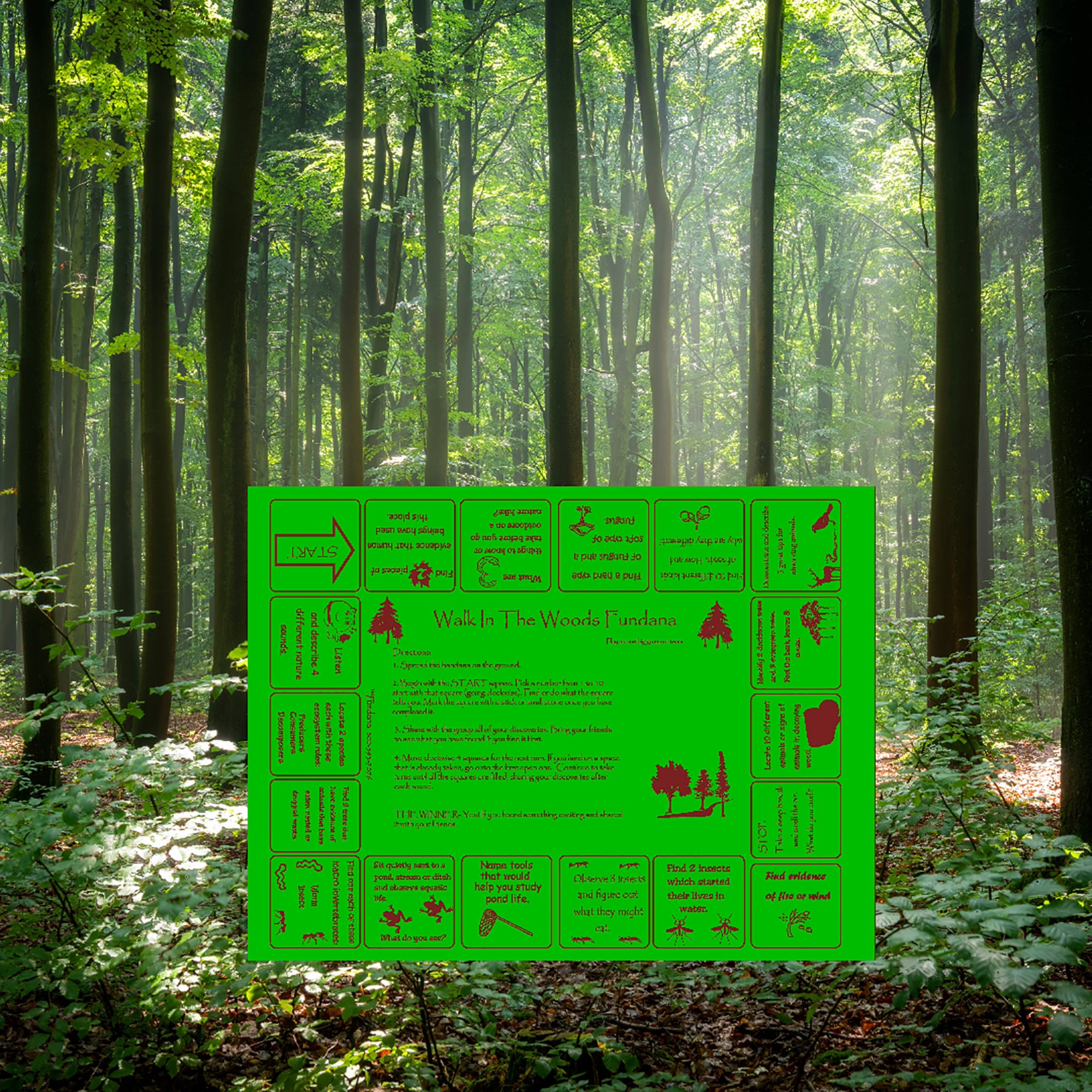 Walk in the Woods! New! Two colors-Green or Natural! Fun scavenger hunt ...