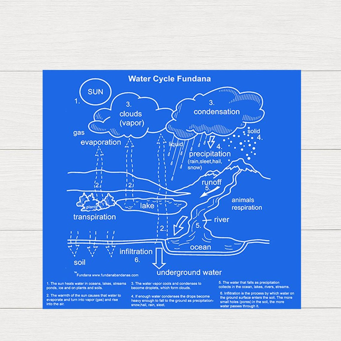 Water Cycle Fundana – Educational Science Bandana for Kids – Hands-on ...