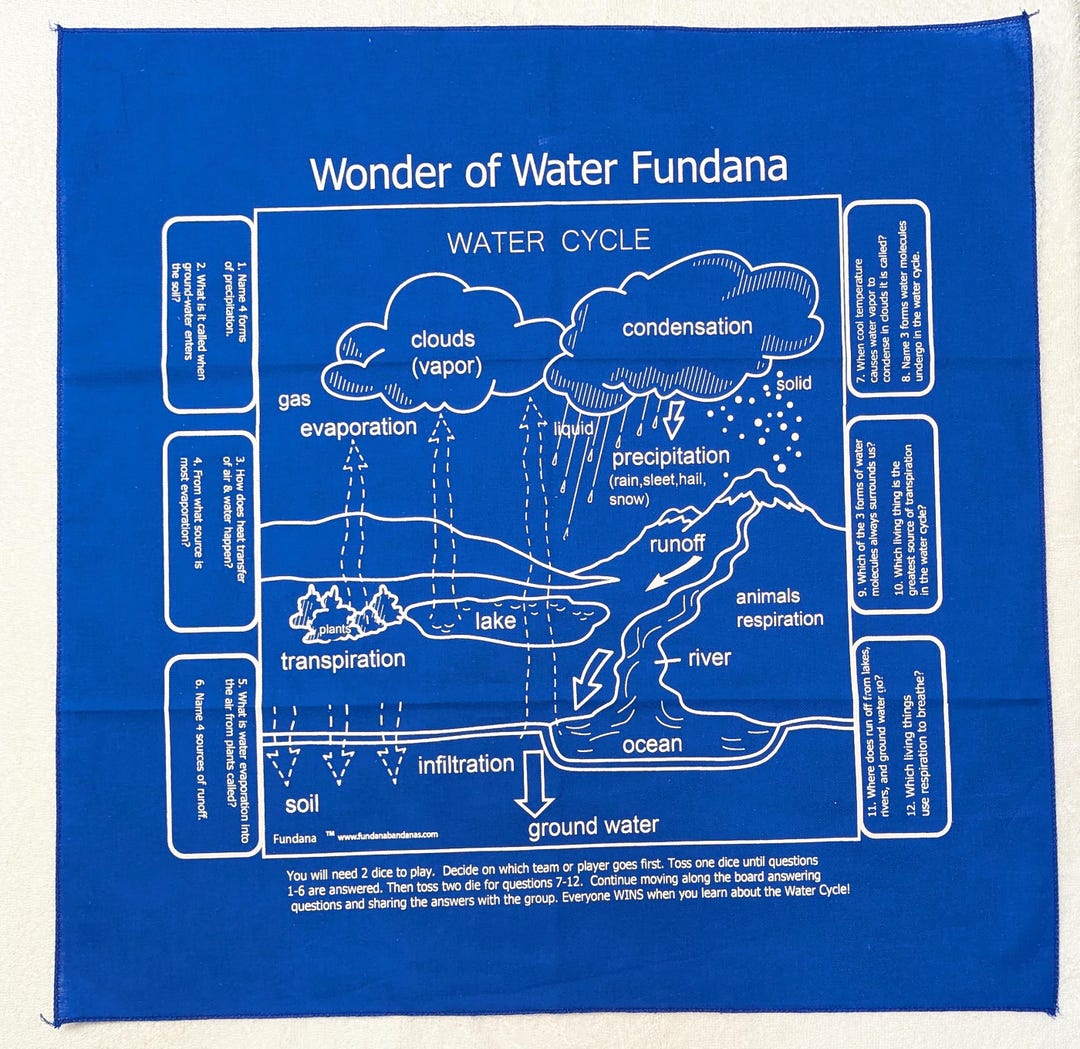 Water Cycle GAME! Wonder of Water is a Fun Way to Learn About the Water ...