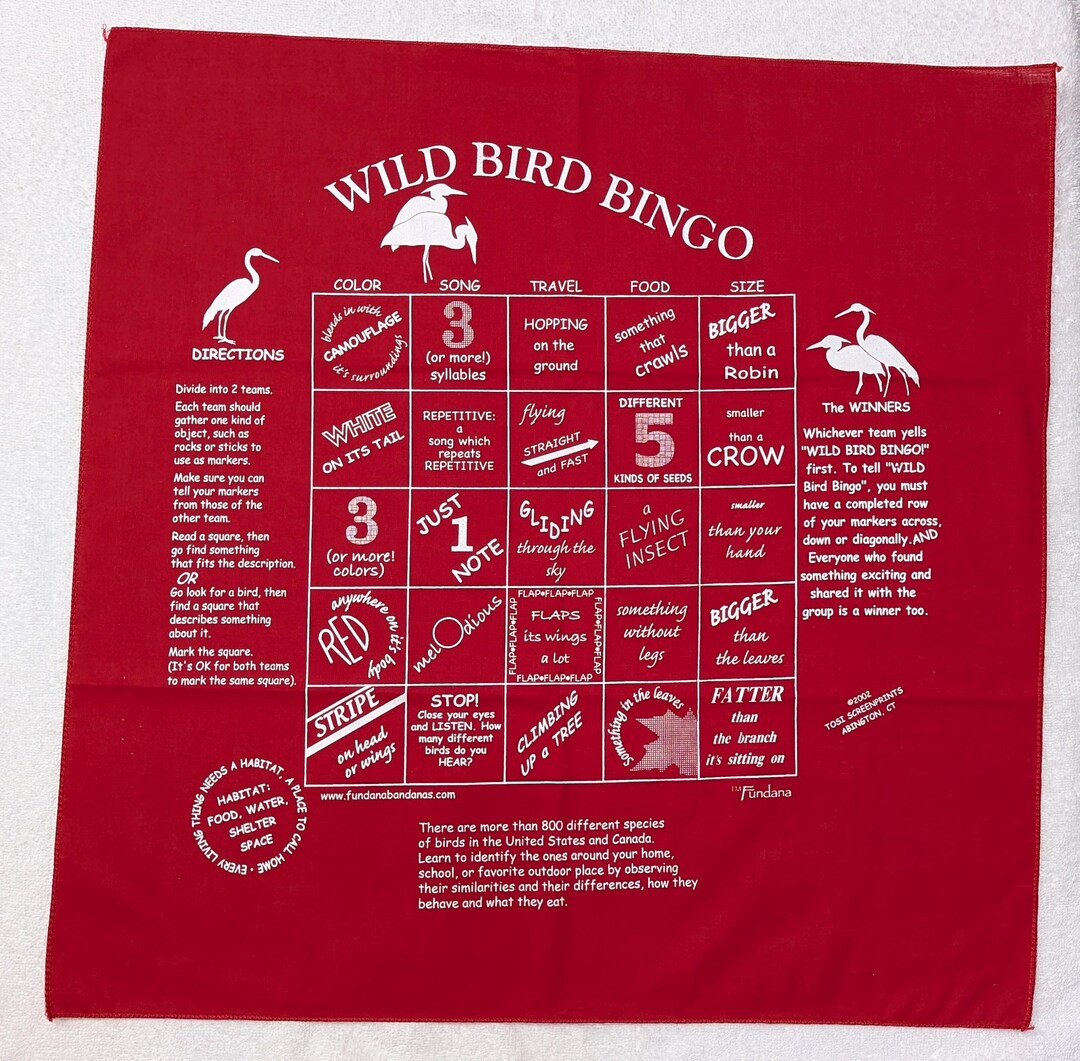 New! Wild Bird Bingo in Two Colors! Cardinal Red and Blue Jay Blue! A ...