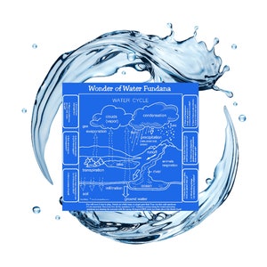 Water Cycle GAME! Wonder of Water is a Fun Way to Learn About the Water ...