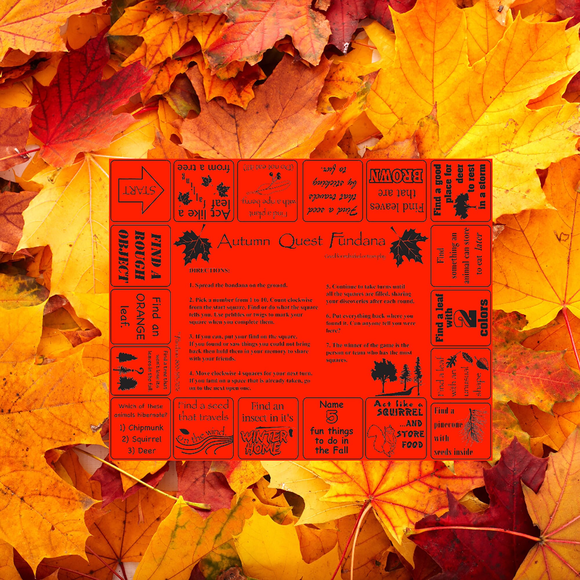 fun-fall-nature-scavenger-hunt-fall-is-a-great-season-to-be-outdoors