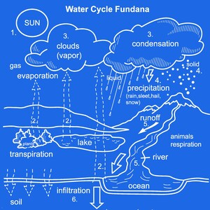 Water Cycle Fundana – Educational Science Bandana for Kids – Hands-on ...