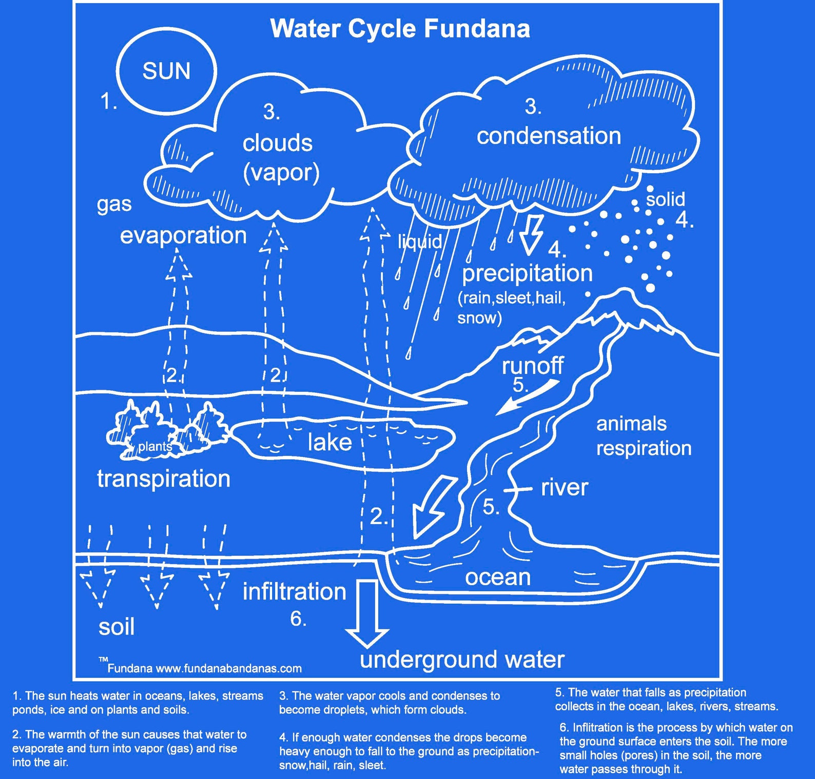 Water Cycle Chart Enrichment Activity. Great for Kids at Home - Etsy