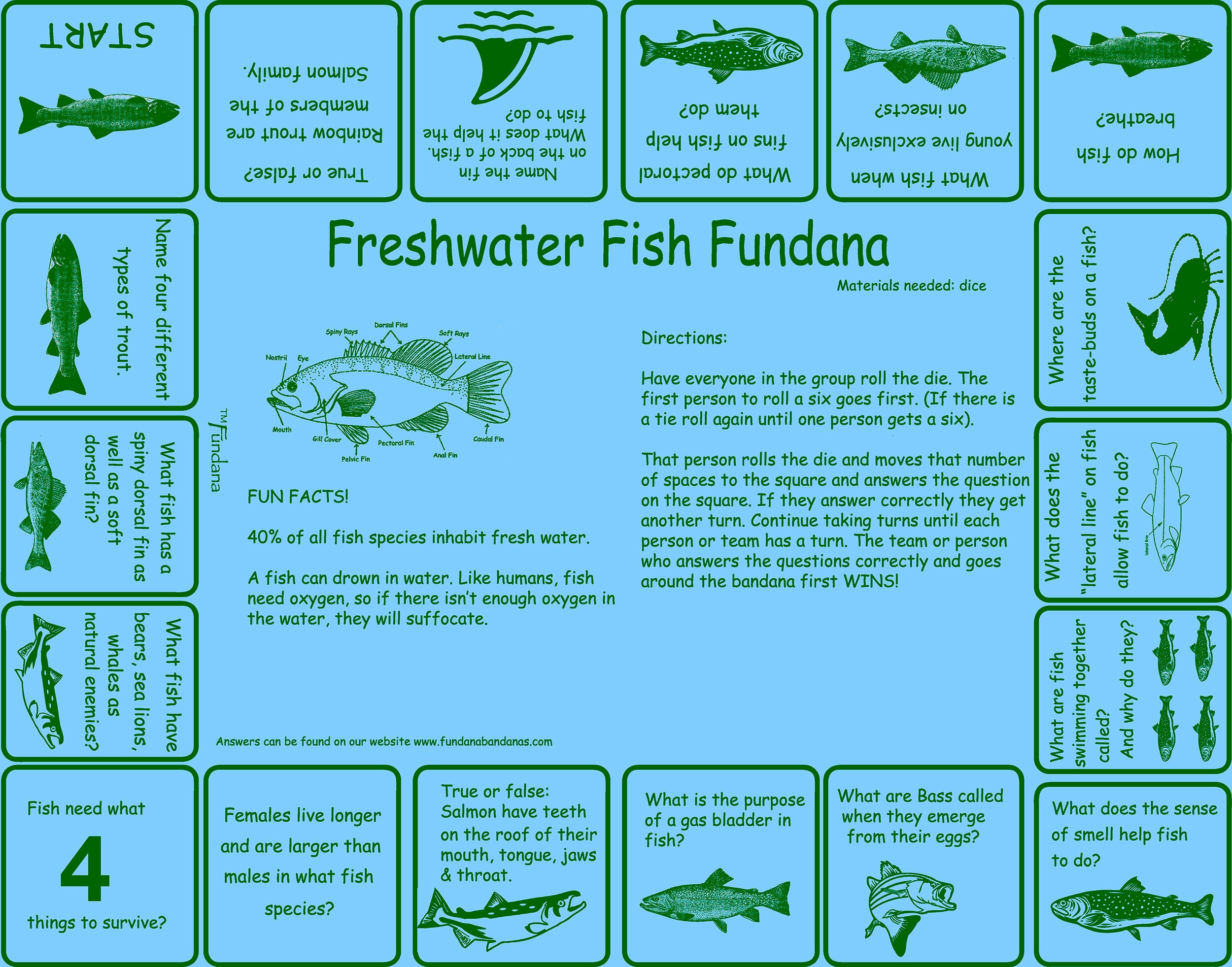 Like to Fish? Play our Freshwater Fish game! Learn all sorts of FUN ...