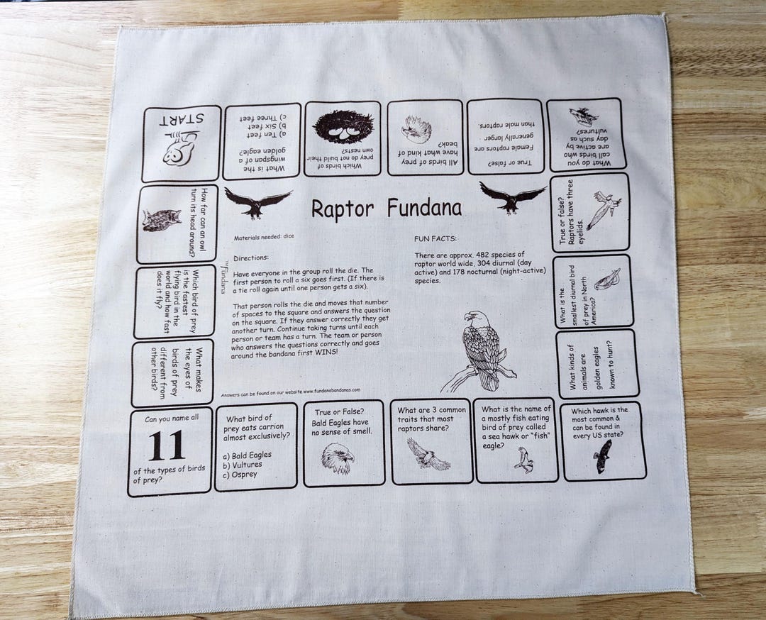 Raptor Fundana – Birds of Prey Game for Kids | Indoor/outdoor Learning ...