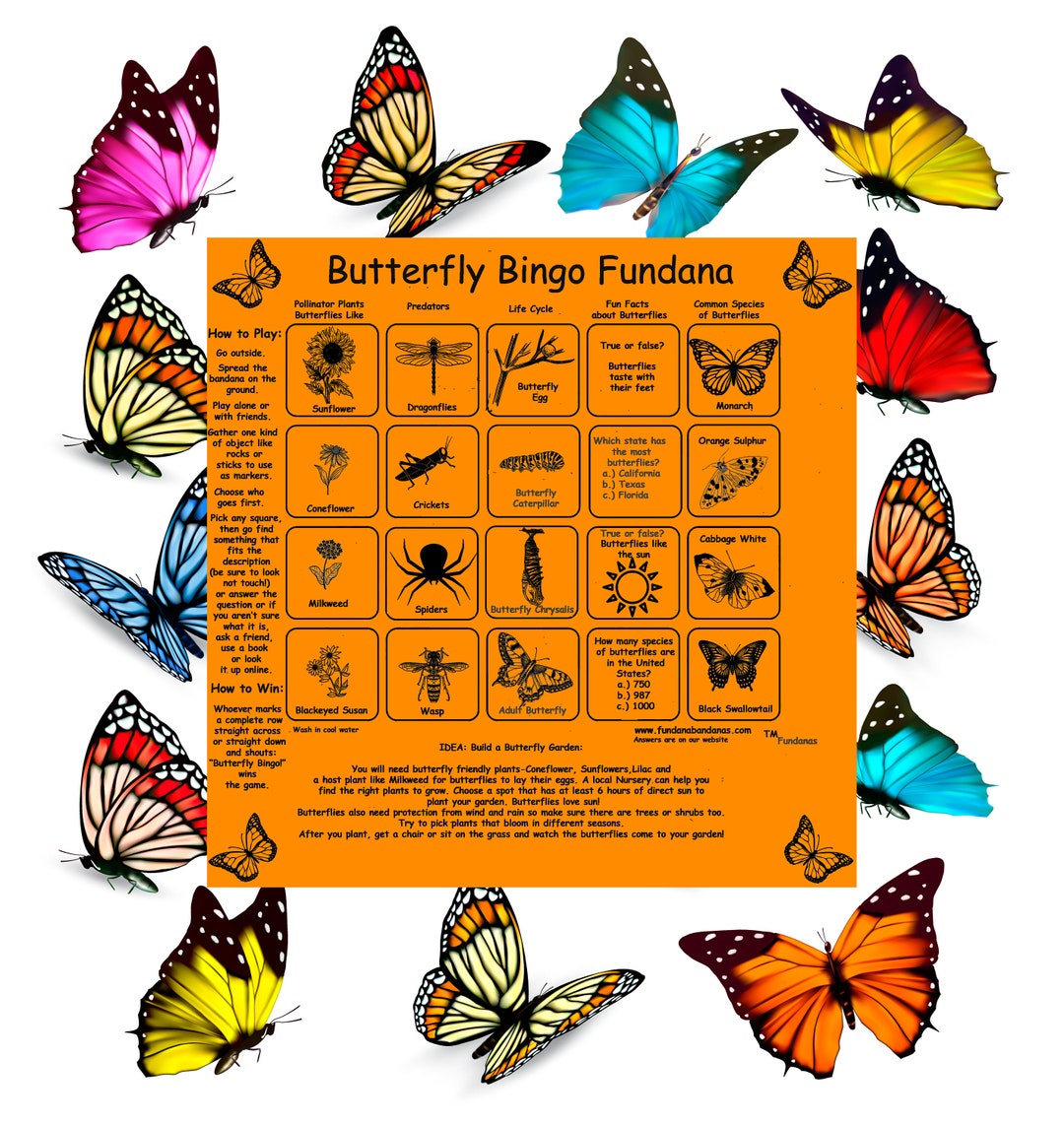 New Butterfly Bingo Fundanas in Four WOW Colors A Fun Way to Learn ...