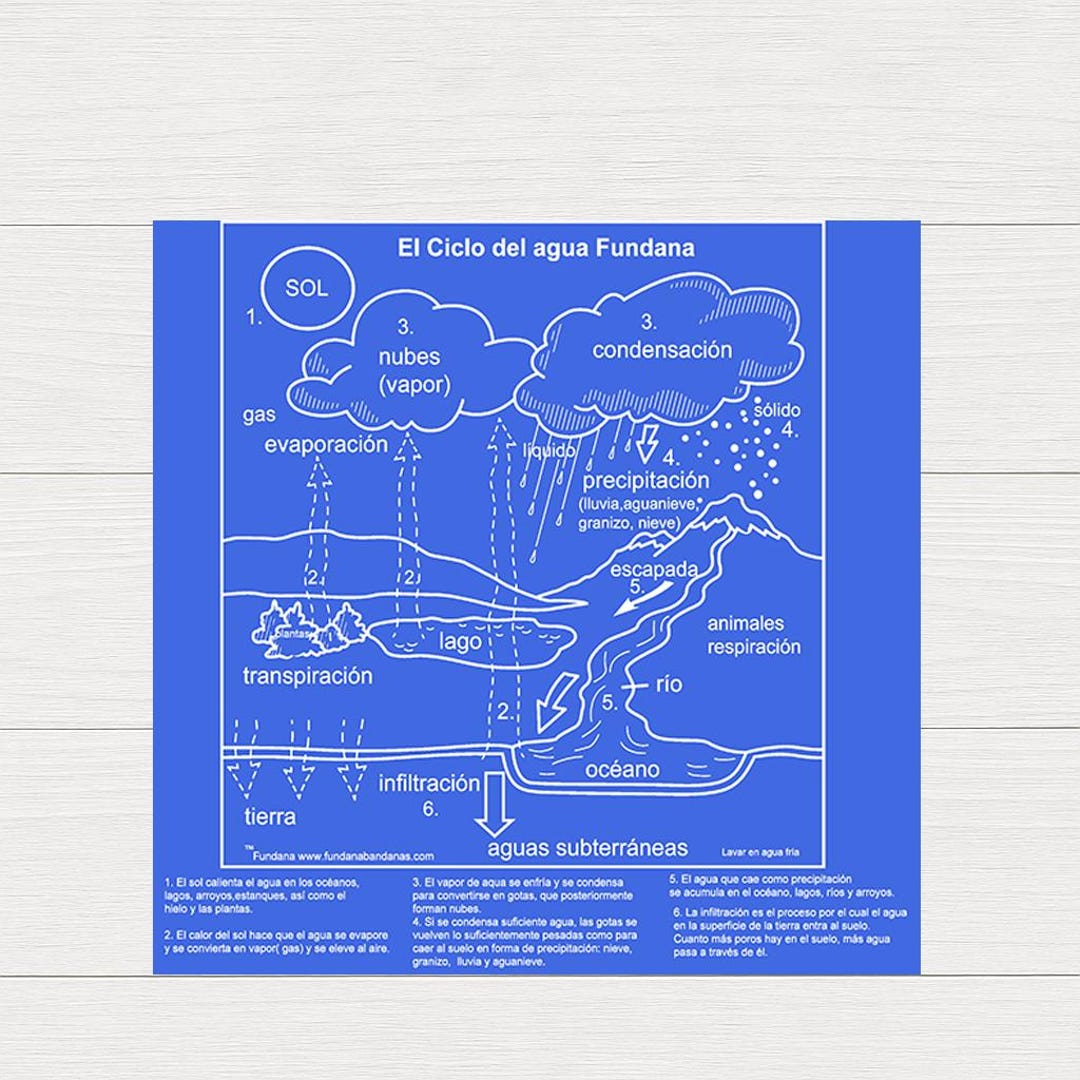 Spanish Water Cycle Bandana: Bilingual Education, Large Graphic - Etsy