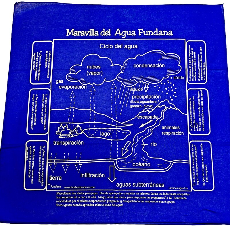 Water Cycle Project - Etsy