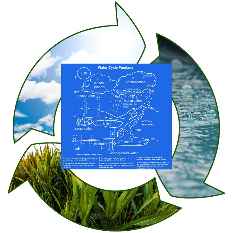 Water Cycle Chart Enrichment Activity. Great for Kids at Home or School ...