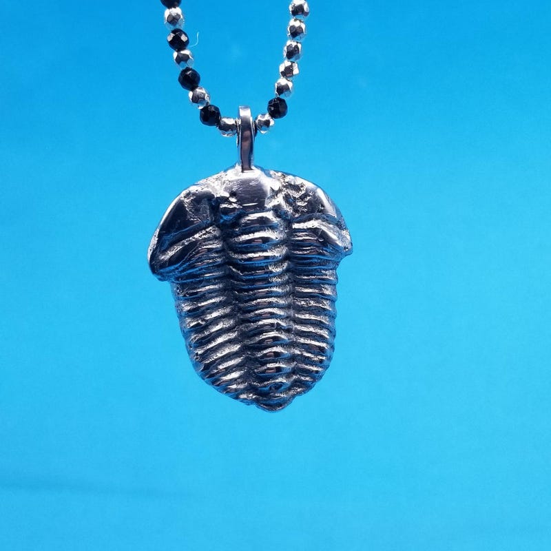 Trilobite Pendant - Etsy